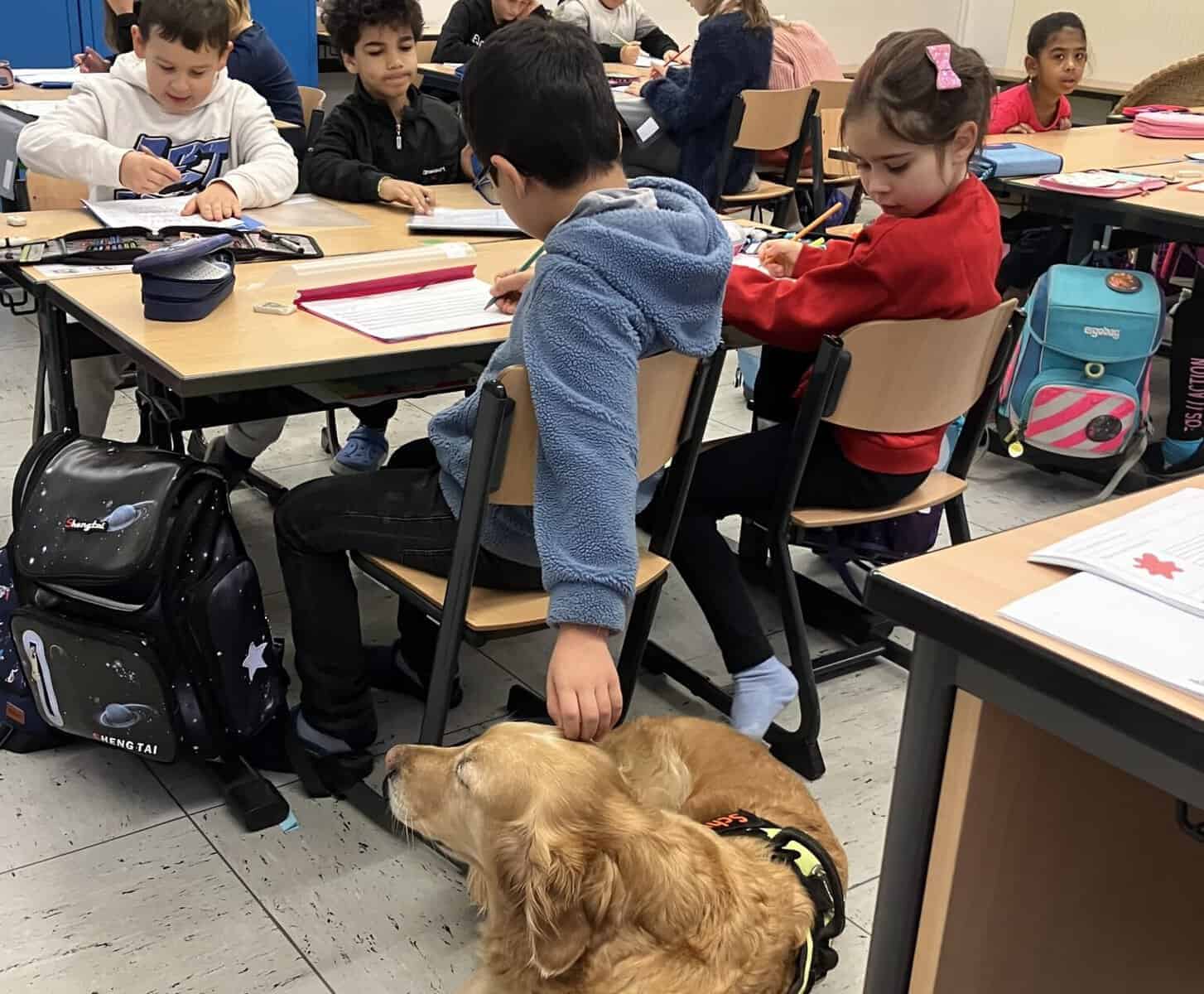 Offenes Lernen – Servatiusschule